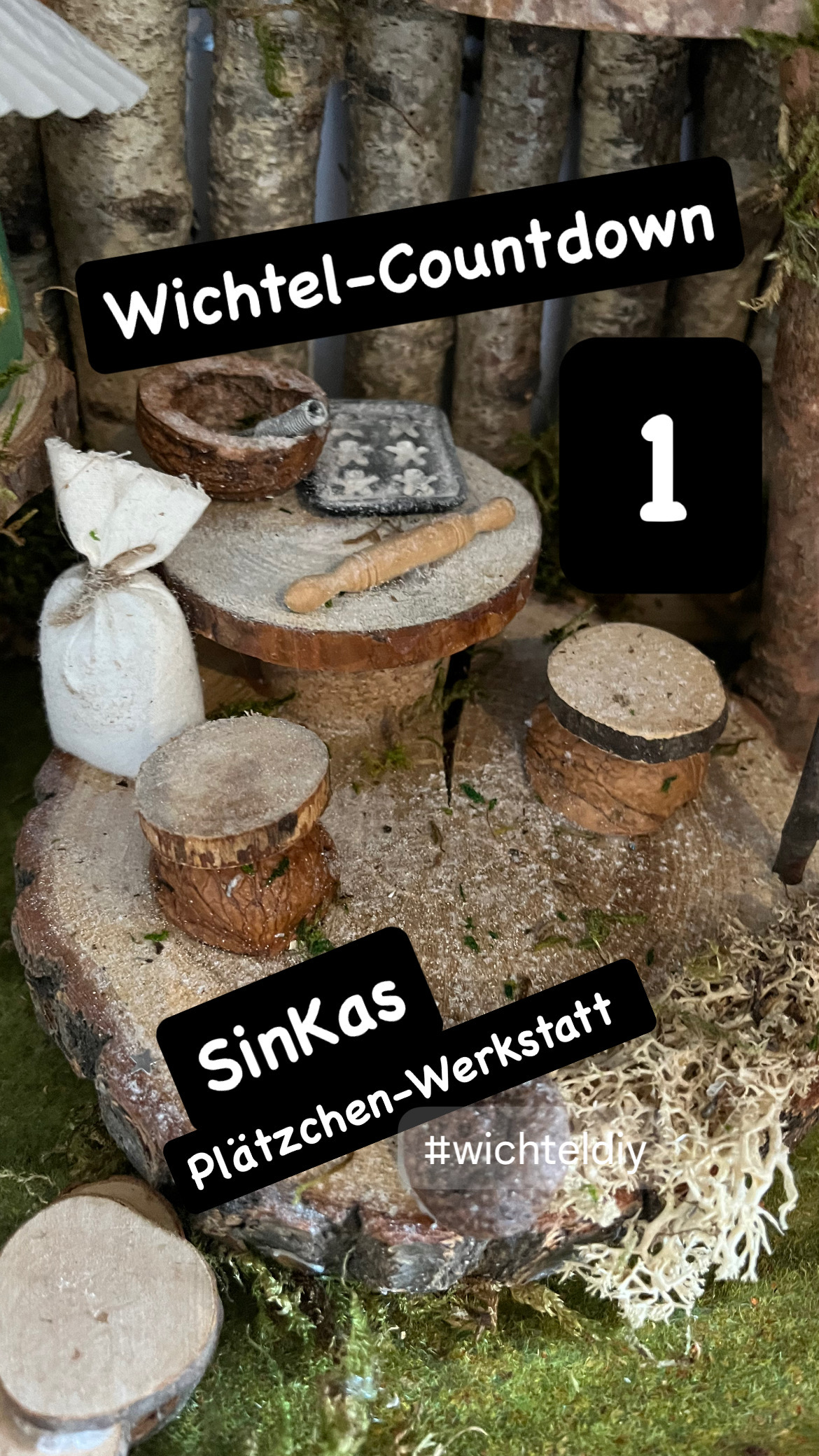 Unser Wichtel SinKa – Das Sinneskarussell